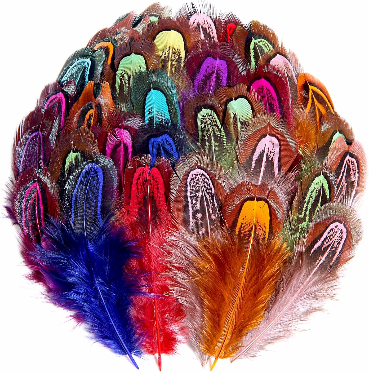 Bulk Feathers – SendyFeather
